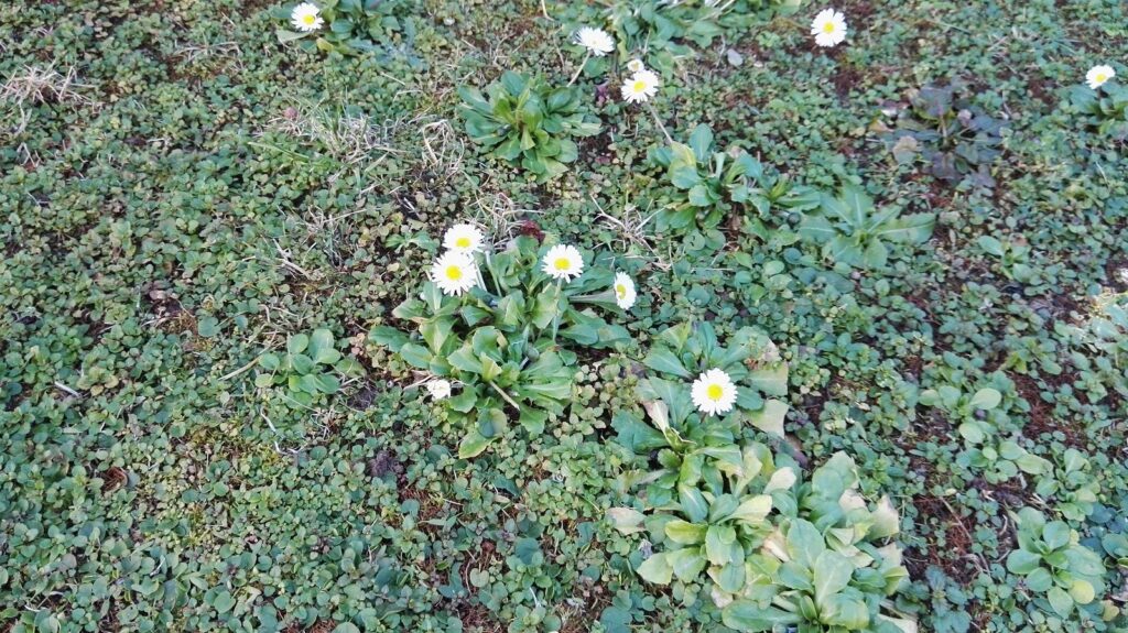 Giornata con sbalzi di temperatura notevoli. Dai 2 della prima mattina ...