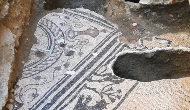 Il Museo che verrà: idee e proposte, Giuseppe Lepore e Paolo Bolzani a ...