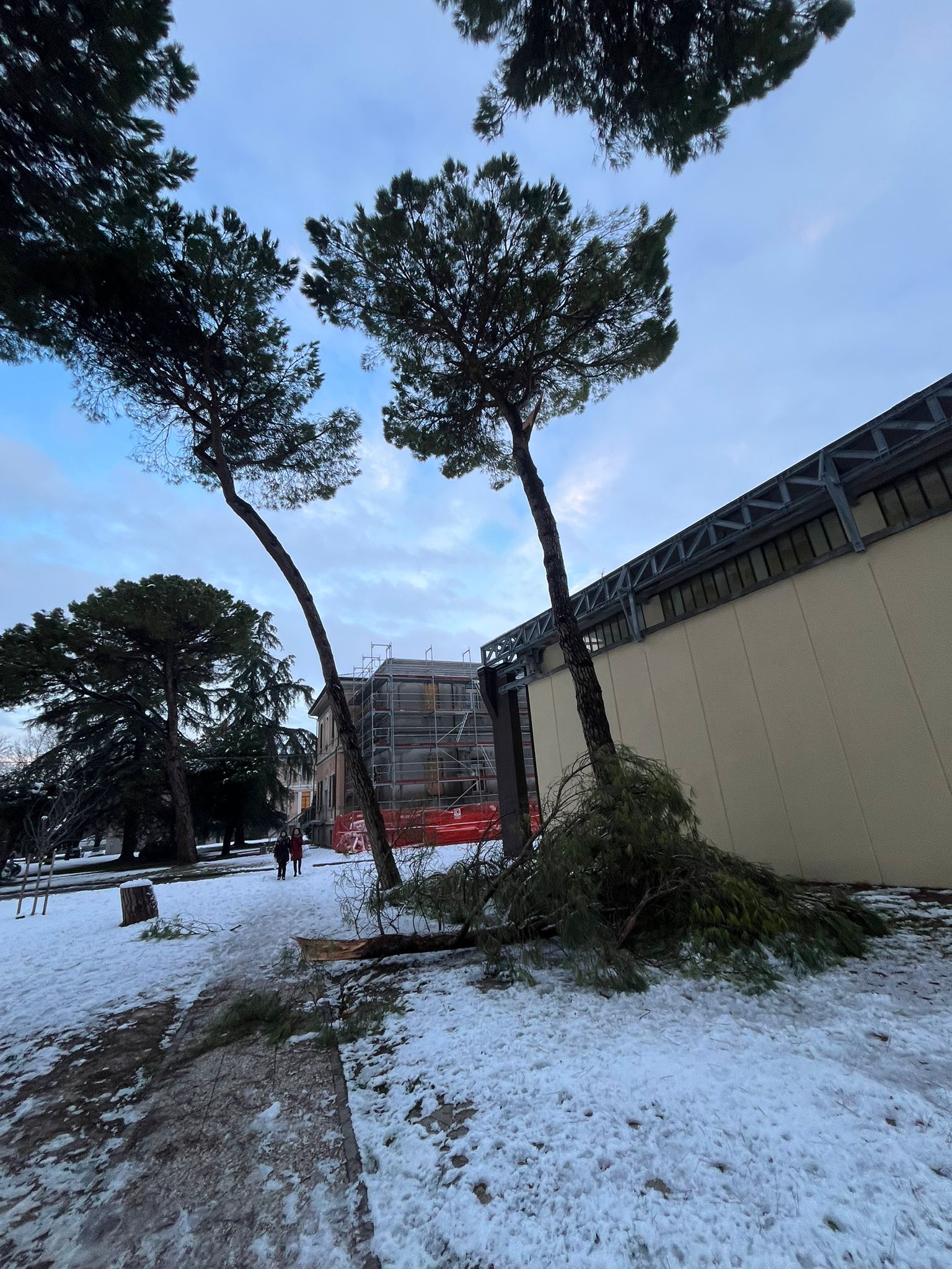 Neve, Vigili del fuoco al lavoro. Ieri 65 interventi - Corriere Cesenate