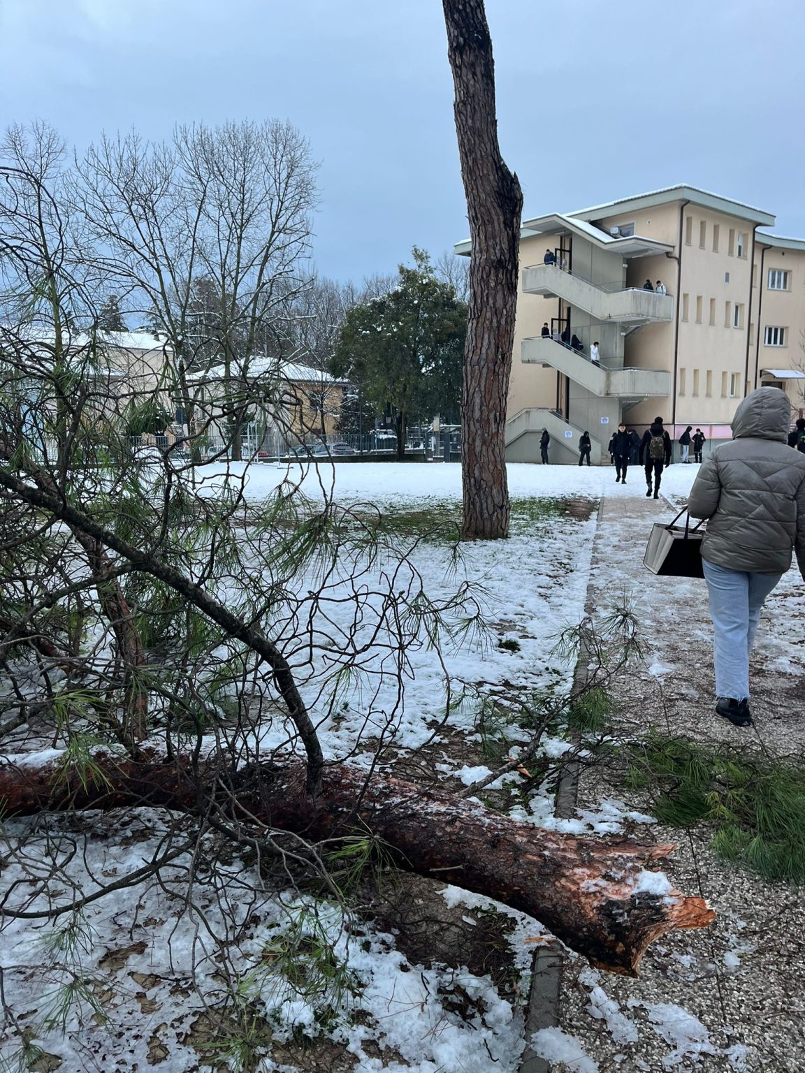 Neve, Vigili del fuoco al lavoro. Ieri 65 interventi - Corriere Cesenate